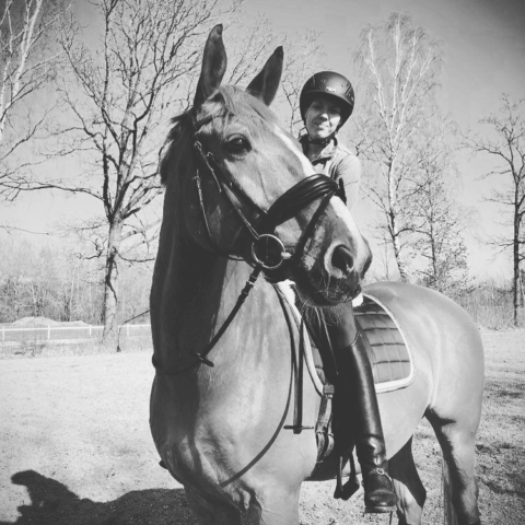 Home - Your Riding Success - Natasha Althoff