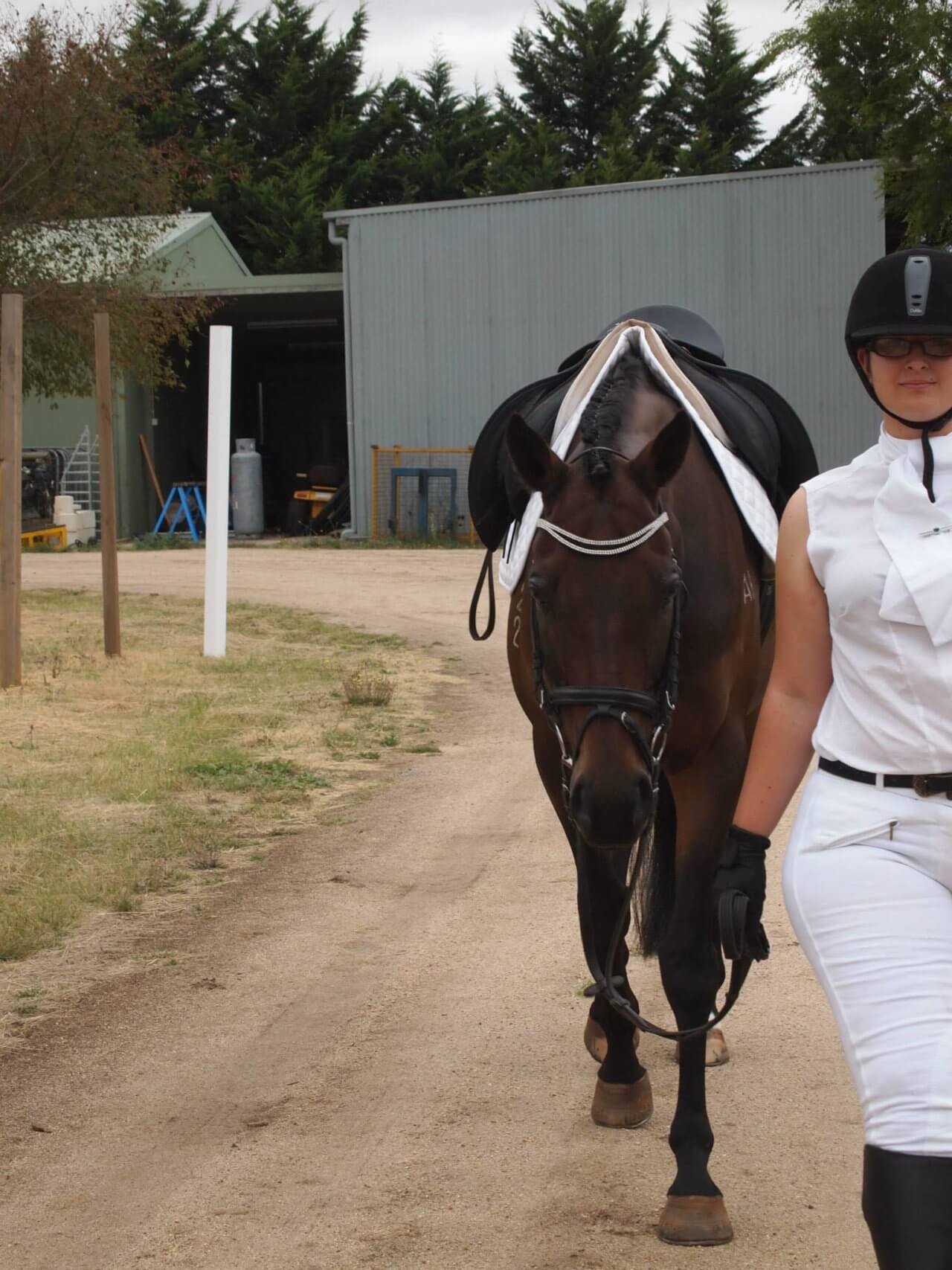 Home - Your Riding Success - Natasha Althoff