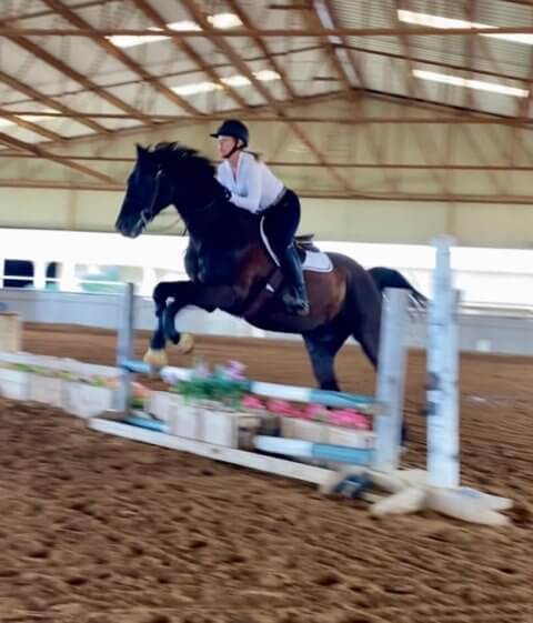 Home - Your Riding Success - Natasha Althoff