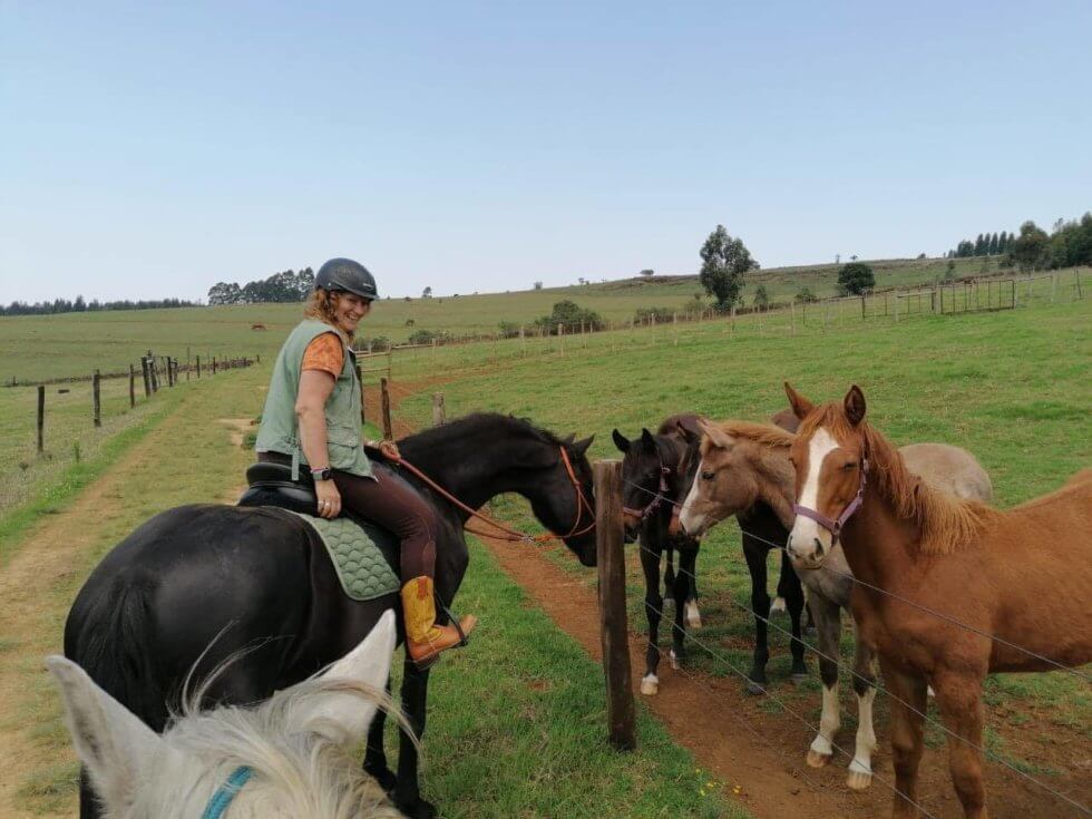 Home - Your Riding Success - Natasha Althoff