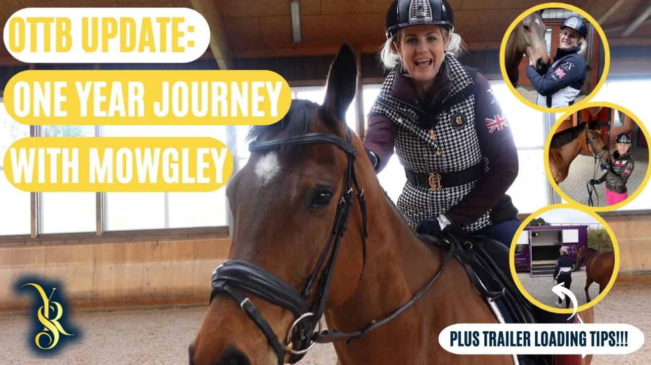 ONE YEAR OTTB UPDATE - Plus Trailer Loading Tips!