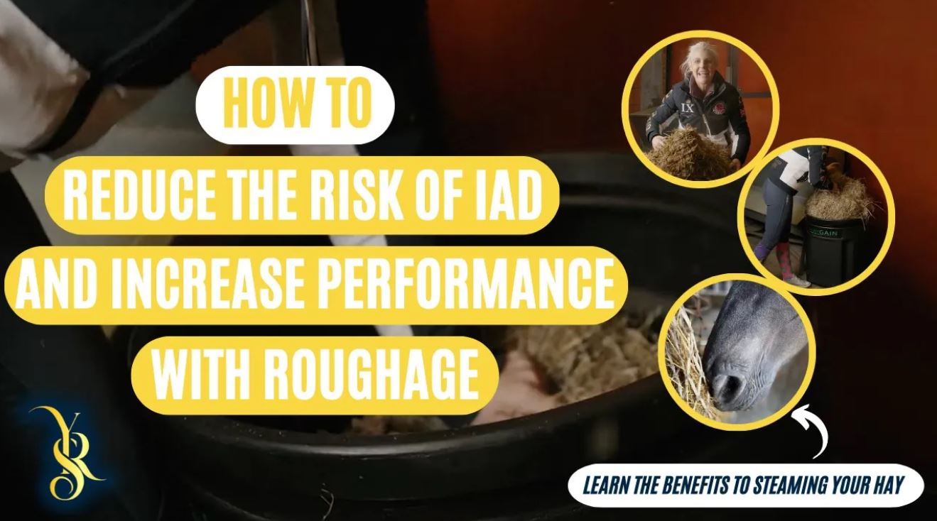 HOW TO CHOOSE AND PREPARE ROUGHAGE| Increase your performance and ...