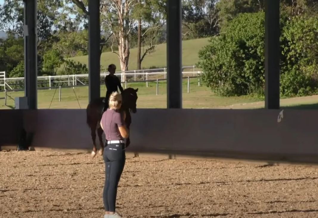 Mastering Flying Changes: Steps To Improve Your Canter Quality