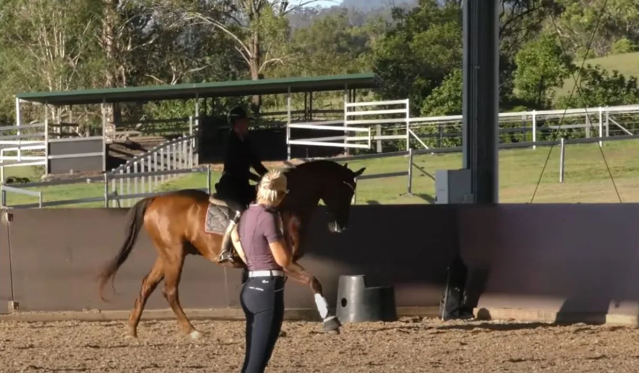 Learn How to Improve Your Flying Changes Through Straightness